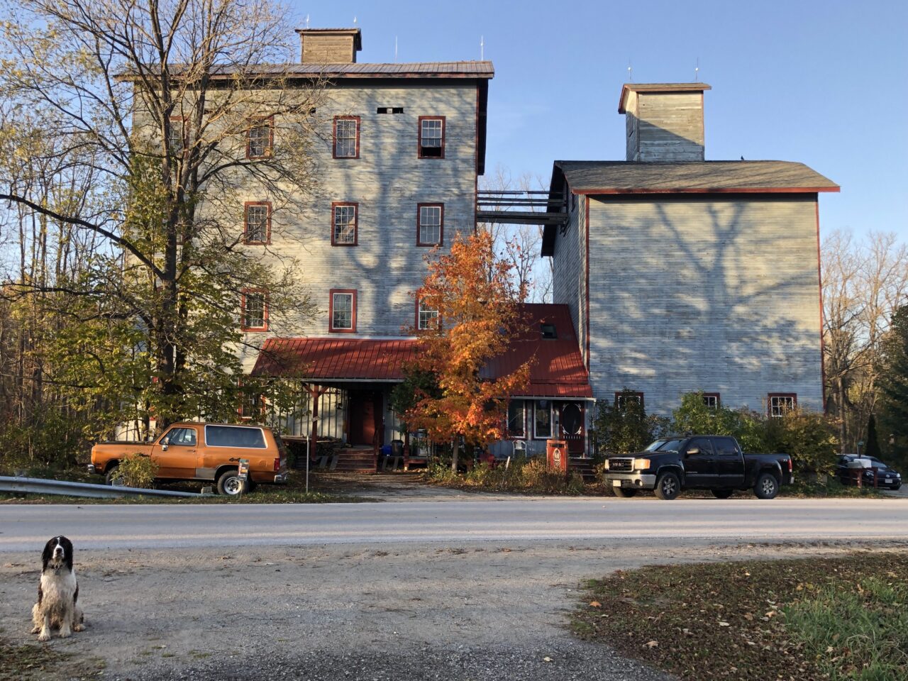 What We Do - INVIZIJ